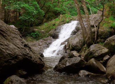 Home - Active Learning Centres